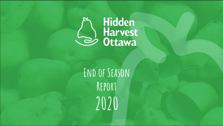 2020 End of Season Report – Hidden Harvest Ottawa